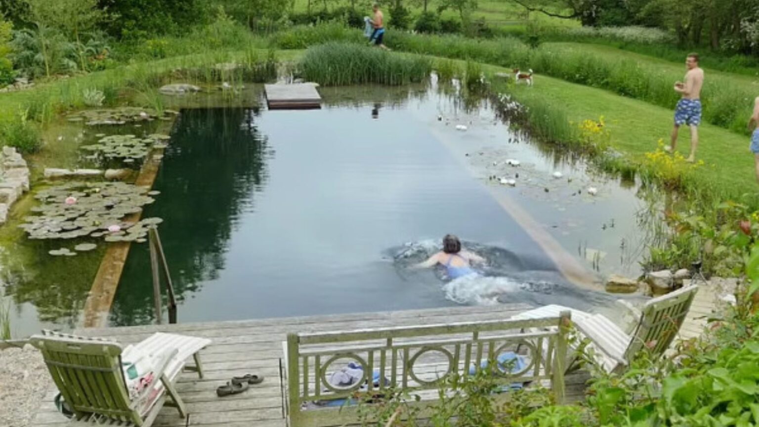 How To Create A Natural Swimming Pond: A DIY Oasis Guide
