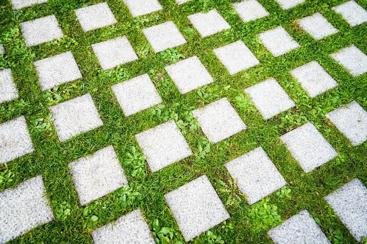 Everything You Need to Know About Grass Block Pavers